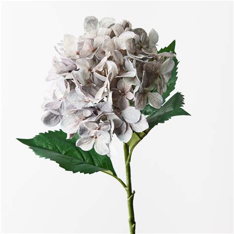 Artificial Hydrangeas Pepperwhites By Tara Dennis