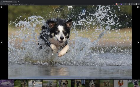 Dependency Free React Carousel Component With Support For Lazy Loading