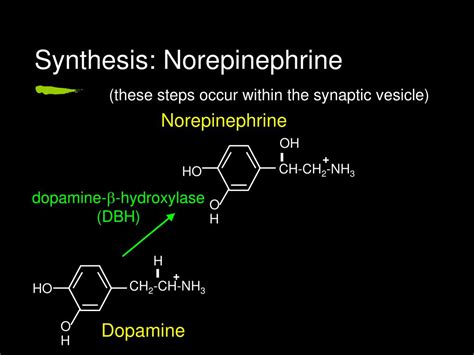 Ppt Receptors And Transmitters Powerpoint Presentation Free Download