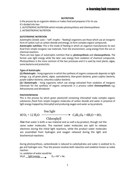 E Nutrition Pdf Photosynthesis Leaf