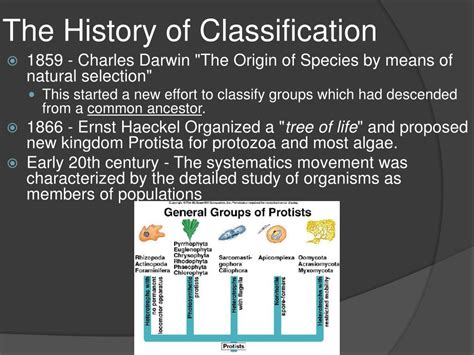 Ppt Evolution Of The Classification System For Organisms Powerpoint