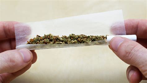 A Beginners Guide To Rolling A Perfect Joint Flora Terra