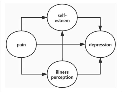 Theoretical Framework For The Development Of Depression In Ckd