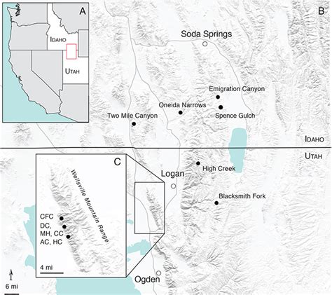 A Fossil Collection Inspection Examining Anthropogenic Bias In Fossil