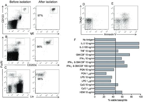 Isolated Basophil Purity And Viability Representative Dot Plots