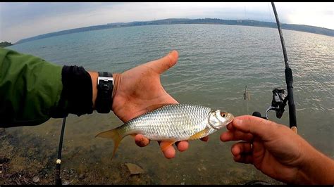 ნაფოტა ფიდერით საღამოს გასეირნება თბილისის ზღვაზე Youtube
