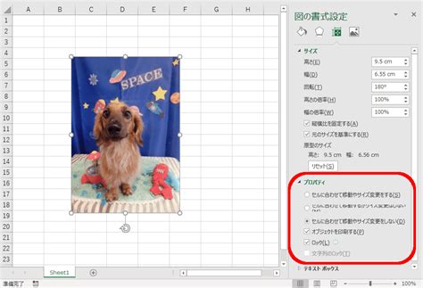 excelの「セルに合わせて移動やサイズ変更をする」の意味。並べ替えや抽出にも影響