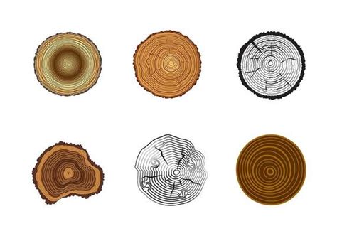 Tree Rings Vector Art Icons And Graphics For Free Download