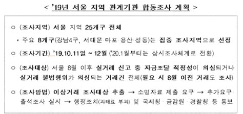 정부 서울 부동산 실거래 실태 조사 나서`강남4구·마용성·서대문` 정조준