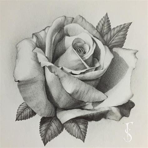 All Done With This Rose Its My Favorite One Ive Drawn So Far Used