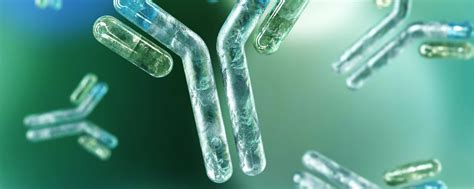 Anton Hutter Venner Shipley