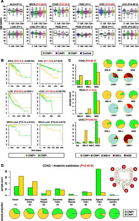 Associations Between Cimp Status And Clinical Annotations A Age Vs