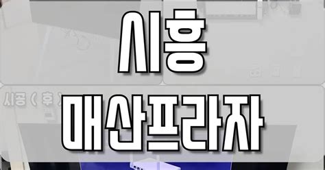 시흥 매산프라자 티비네트 숨고 숨은고수