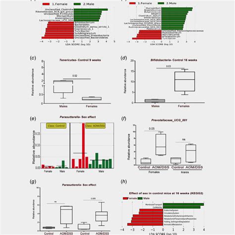 Microbiota Abundance Are Sex Dependent A B Lefse Analysis Of Download Scientific Diagram