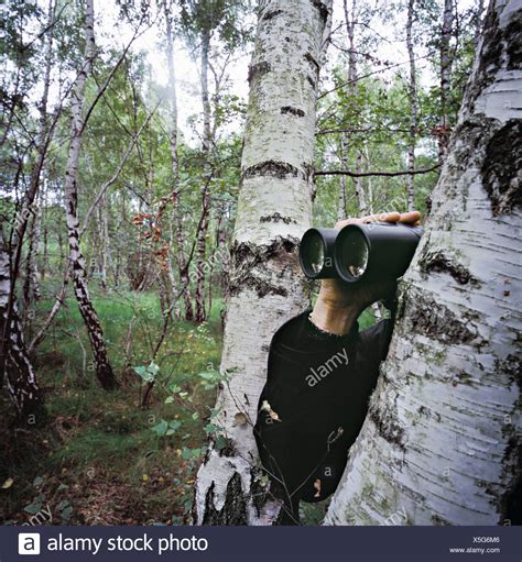 Man Peeking Behind Tree High Resolution Stock Photography And Images Alamy