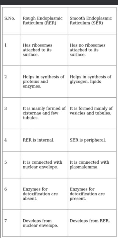 Difference Between Rough Endoplasmic Reticulum And Smooth Endoplasmic Reticulum EduRev Class