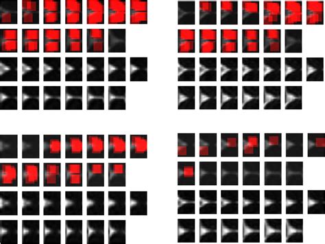 figure 11 from mtbi identification from diffusion mr images using bag