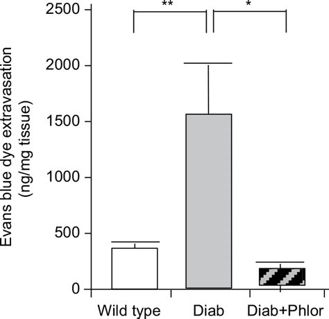 Diabetic Bladder Dysfunction Is Associated With Bladder Inflammation T