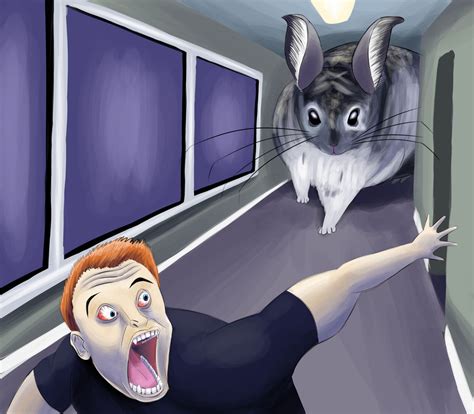 Chinchilla By Yogagagoo On Deviantart