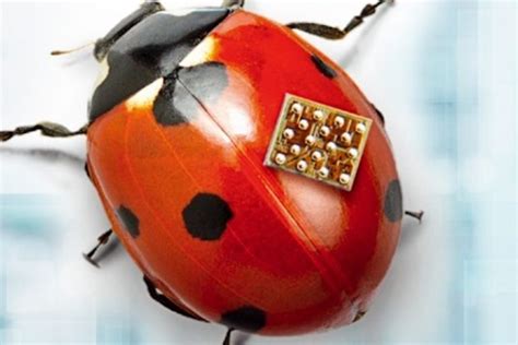 Bluetooth Low Energy Soc And Module Combine To Extend Iot Reach