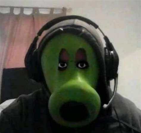Moldy Pvz Rmoldymemes