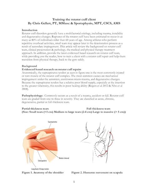 Pdf Training The Rotator Cuff Client Dokumen Tips