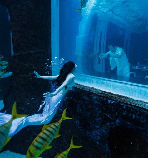 黄圣依晒七夕美人鱼装扮 潜水与鱼群玩耍美如天仙 搜狐大视野 搜狐新闻