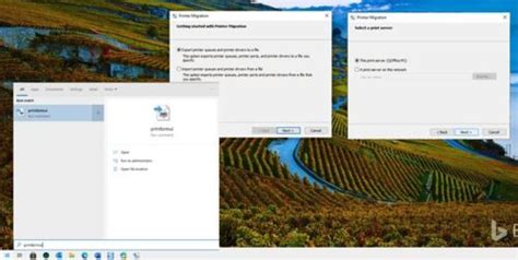 Backup Printer Drivers And Queues Using Printer Migration Tool