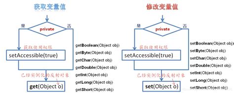 Java反射 获取成员变量java 获取所有成员变量 Csdn博客