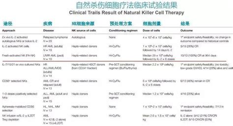 Nk细胞：防癌、抵御病毒、抗衰老免疫