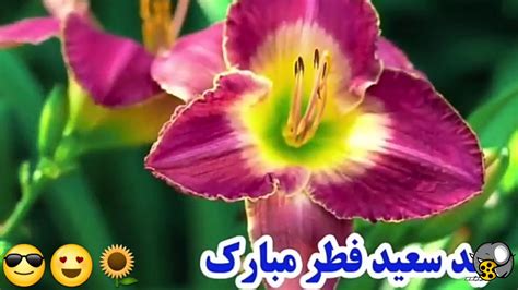 عزیزان پیشاپیش عید سعید فطر 1403 خیلی خیلی مبارک استوری تبریک عید