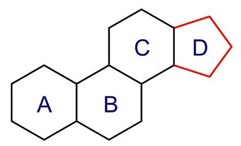 U Helmichde Steroide