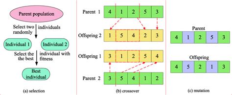Selection Crossover And Variation Operations Download Scientific Diagram