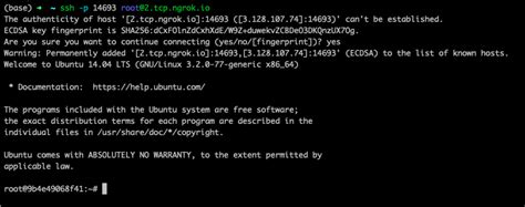 Hướng dẫn public service lên internet với ngrok và docker compose ThinhDA