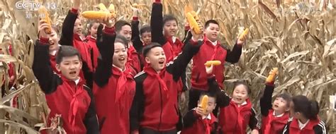 中国少年先锋队建队73周年 各地少先队开展主题实践活动少先队员红色小学