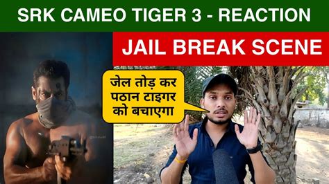 Srk Cameo Scene In Tiger 3 Update Salman Khan Shah Rukh Khan Tiger 3
