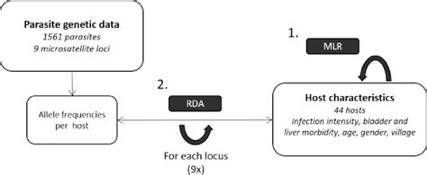 Exploring Associations Between The Parasite Genetic Data And Host Download Scientific Diagram