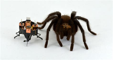Reduced In Size Miniaturized Robot Takes Inspiration From Spiders For Shape Shifting Abilities
