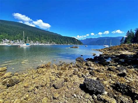 The Best Things To Do In Vancouver Bc Including Where To Stay And Eat