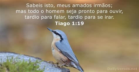 Tiago 119 Versículo Da Bíblia
