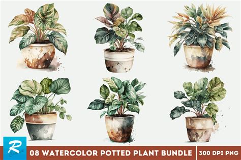 Watercolor Potted Plant Bundle Graphic By Regulrcrative · Creative Fabrica