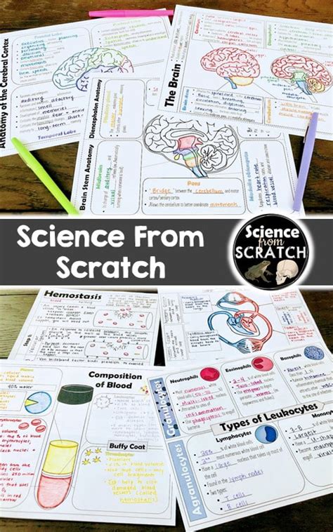Science Doodle Notes