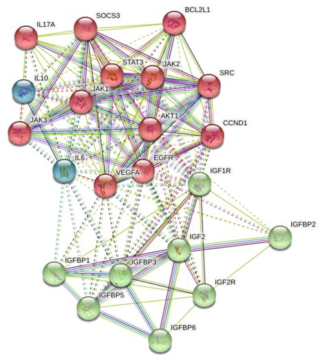 String Network Default K Means Clustering Method Performed By The