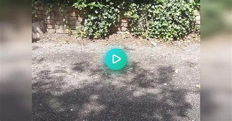 A Few People Noticed The Rc Car In The Photo I Posted Of Sigrid