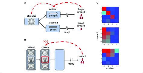 example tasks highlighting the challenge of credit assignment and download scientific diagram