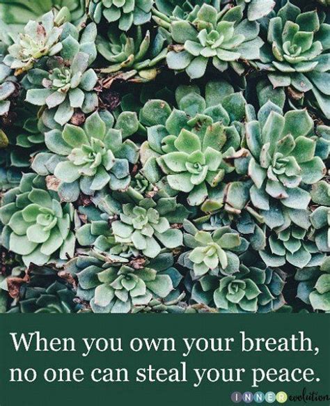 Stephanie Modler Clinical Social Work Therapist Frederick Md 21701