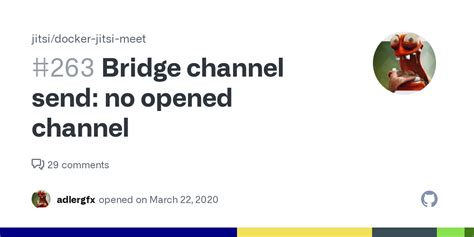 Bridge Channel Send No Opened Channel Issue 263 Jitsi Docker