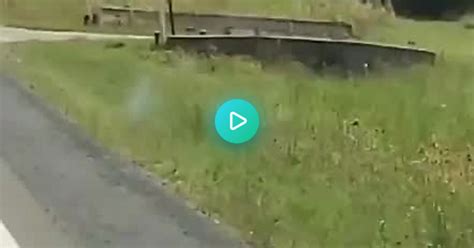 Honest Mistake Album On Imgur