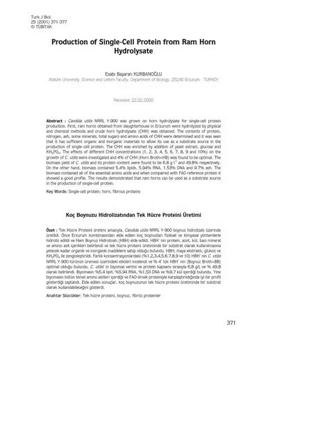 Pdf Horn Keratin Hydrolysis Dokumen Tips