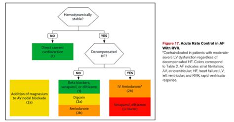 New 2023 Aha Atrial Fibrillation Guidelines Journalfeed